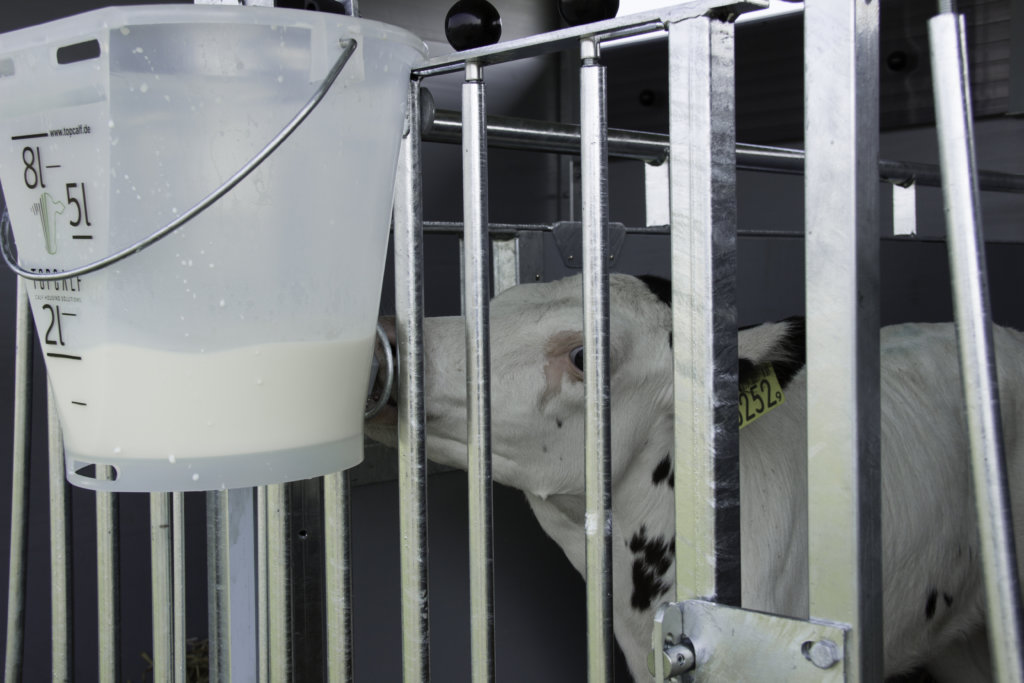 Calf hutch Trio | calf housing for 3 calves | Topcalf