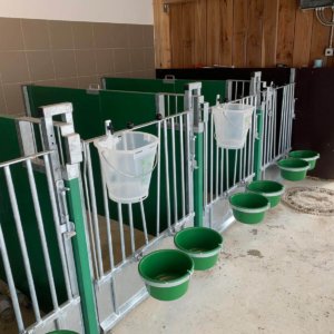 Calf pens | Calf pens that offer you flexibility | Topcalf